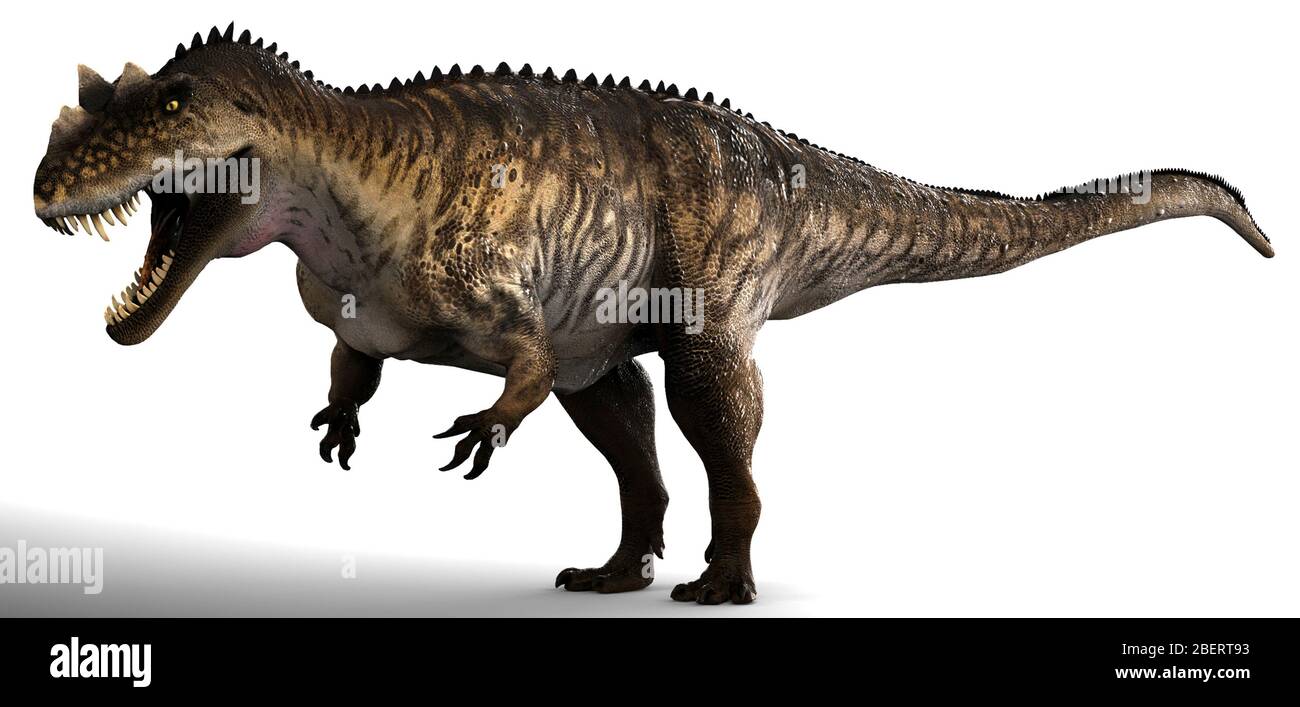 Ceratosaurus dinosaur, side view on white background Stock Photo - Alamy