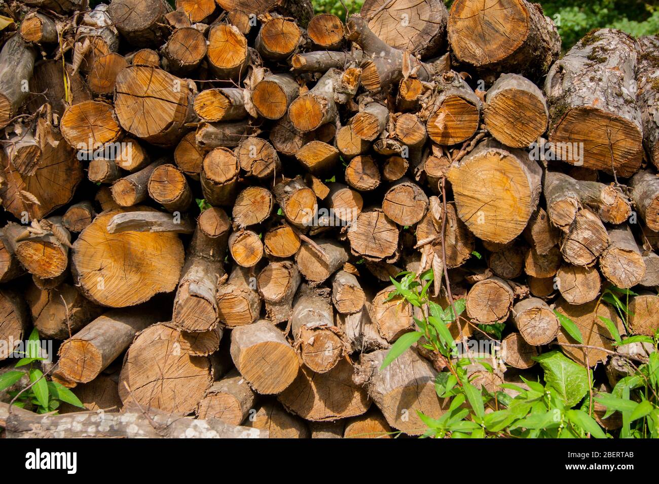 Materials texture hi-res stock photography and images - Alamy