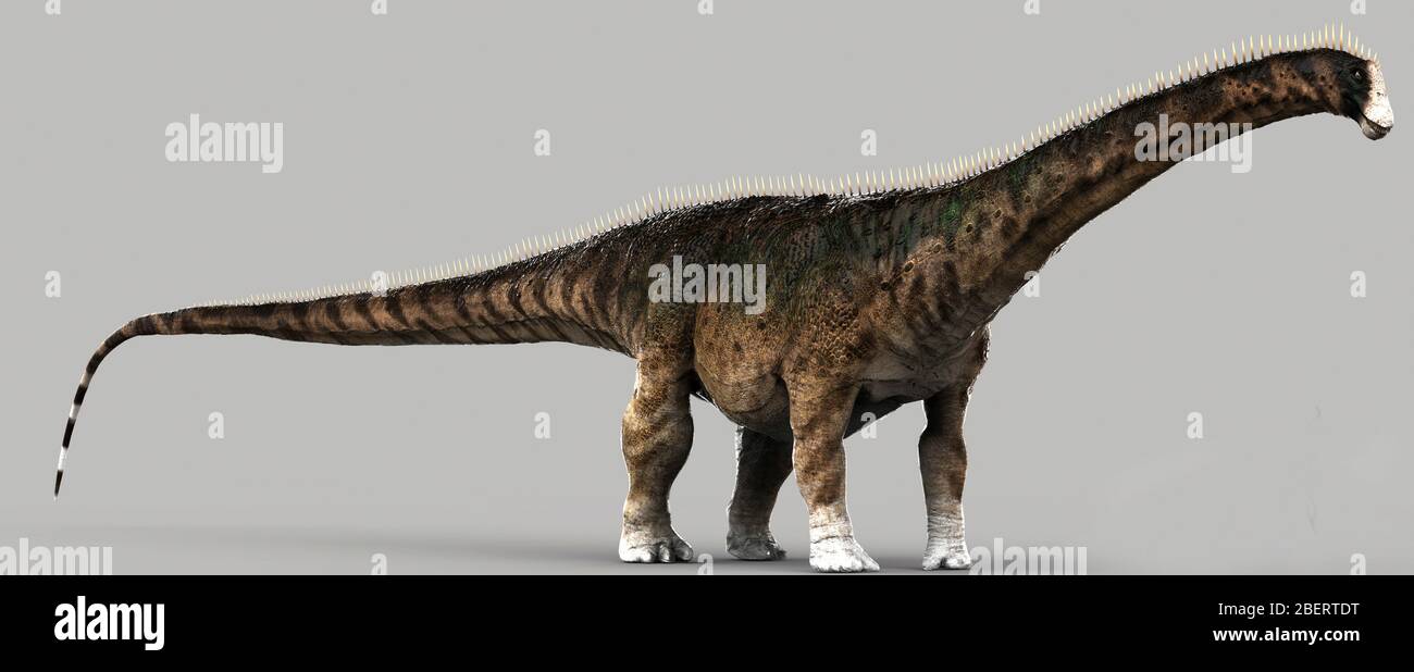 Diplodocus dinosaur hi-res stock photography and images - Alamy