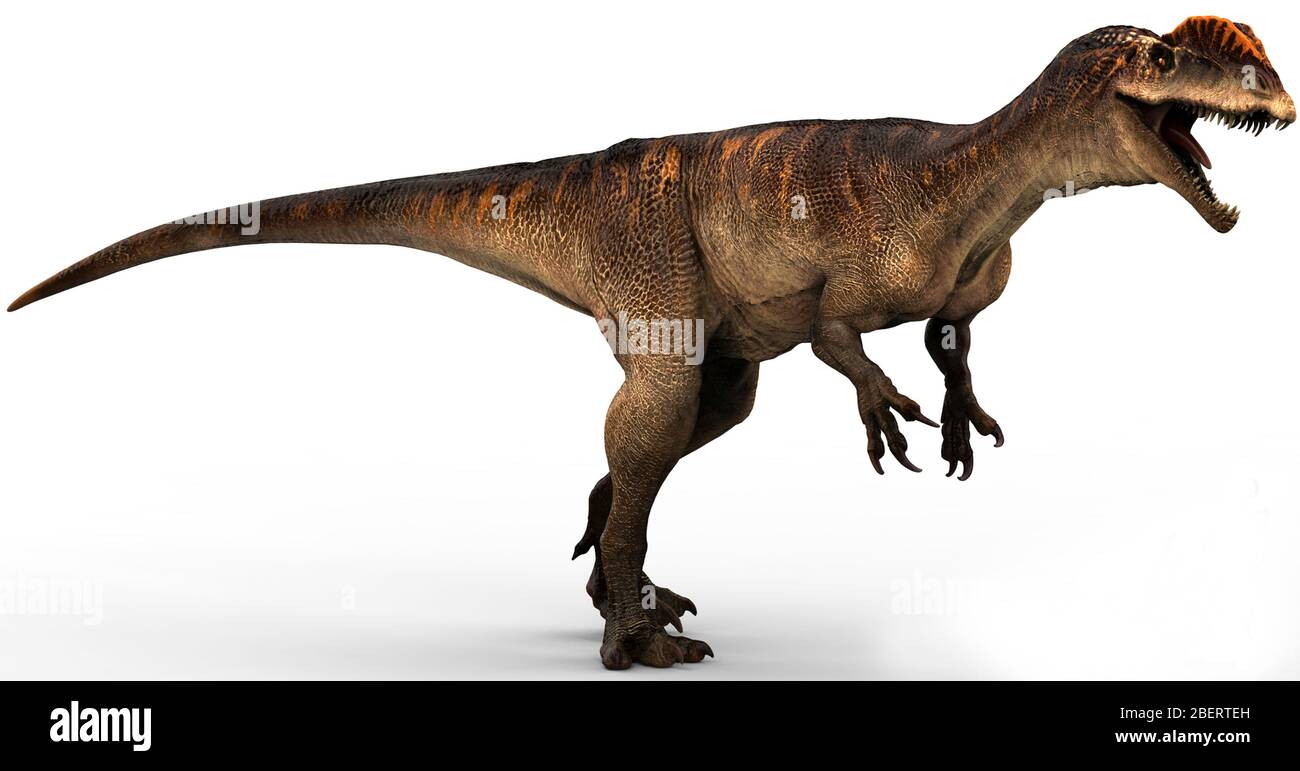 Dilophosaurus dinosaur, side view on white background Stock Photo - Alamy