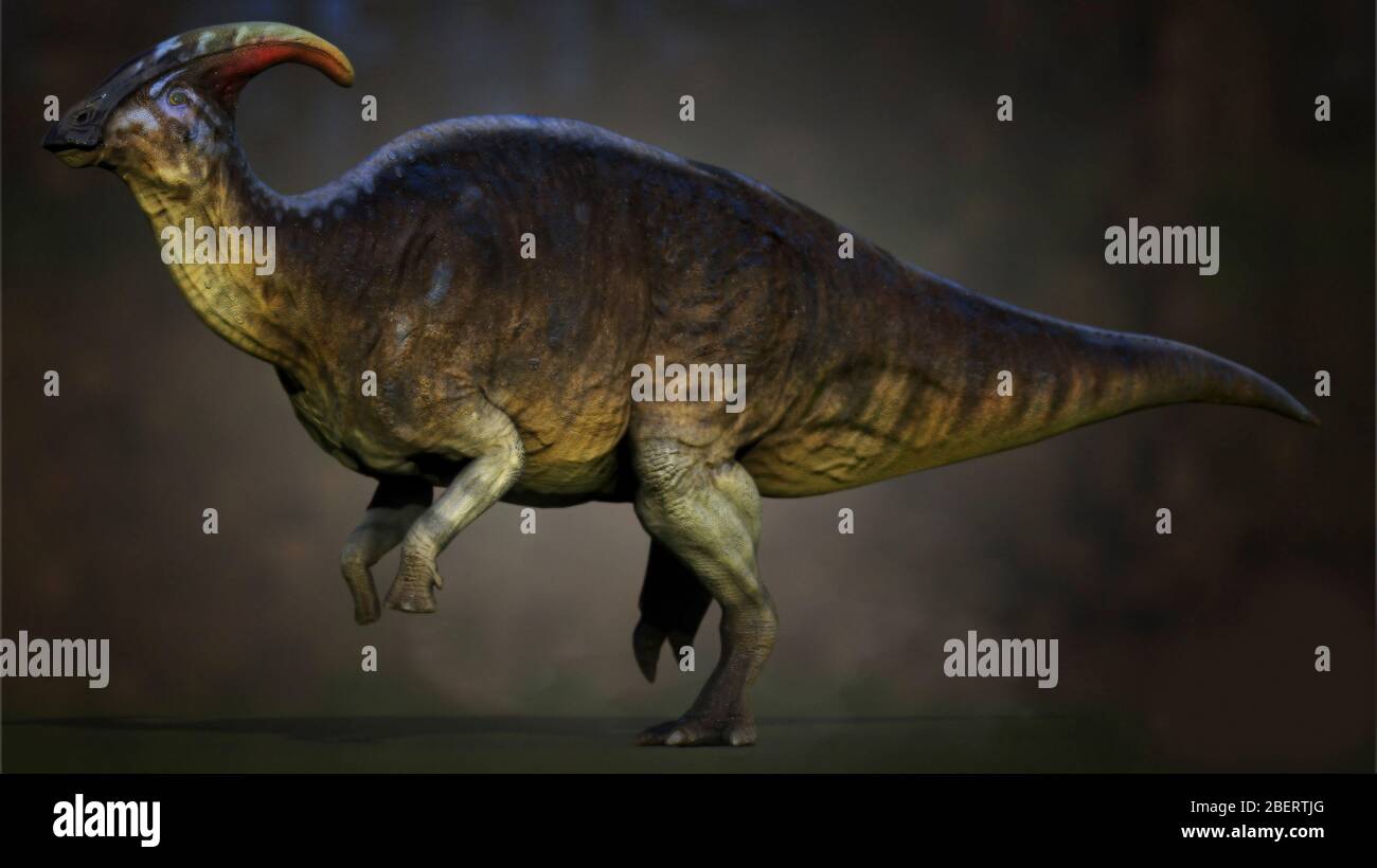 Parasaurolophus dinosaur, side view Stock Photo - Alamy