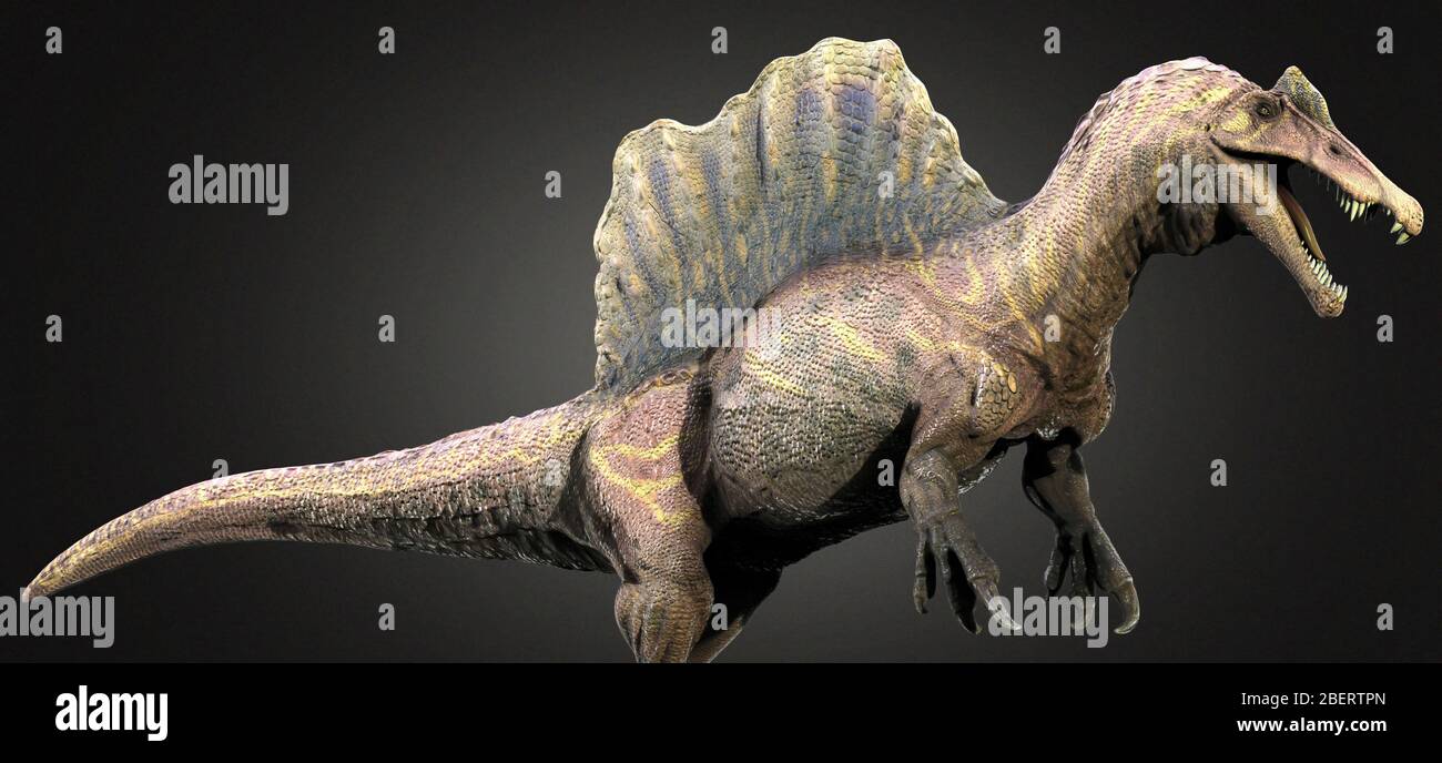 Spinosaurus aegyptiacus hi-res stock photography and images - Alamy