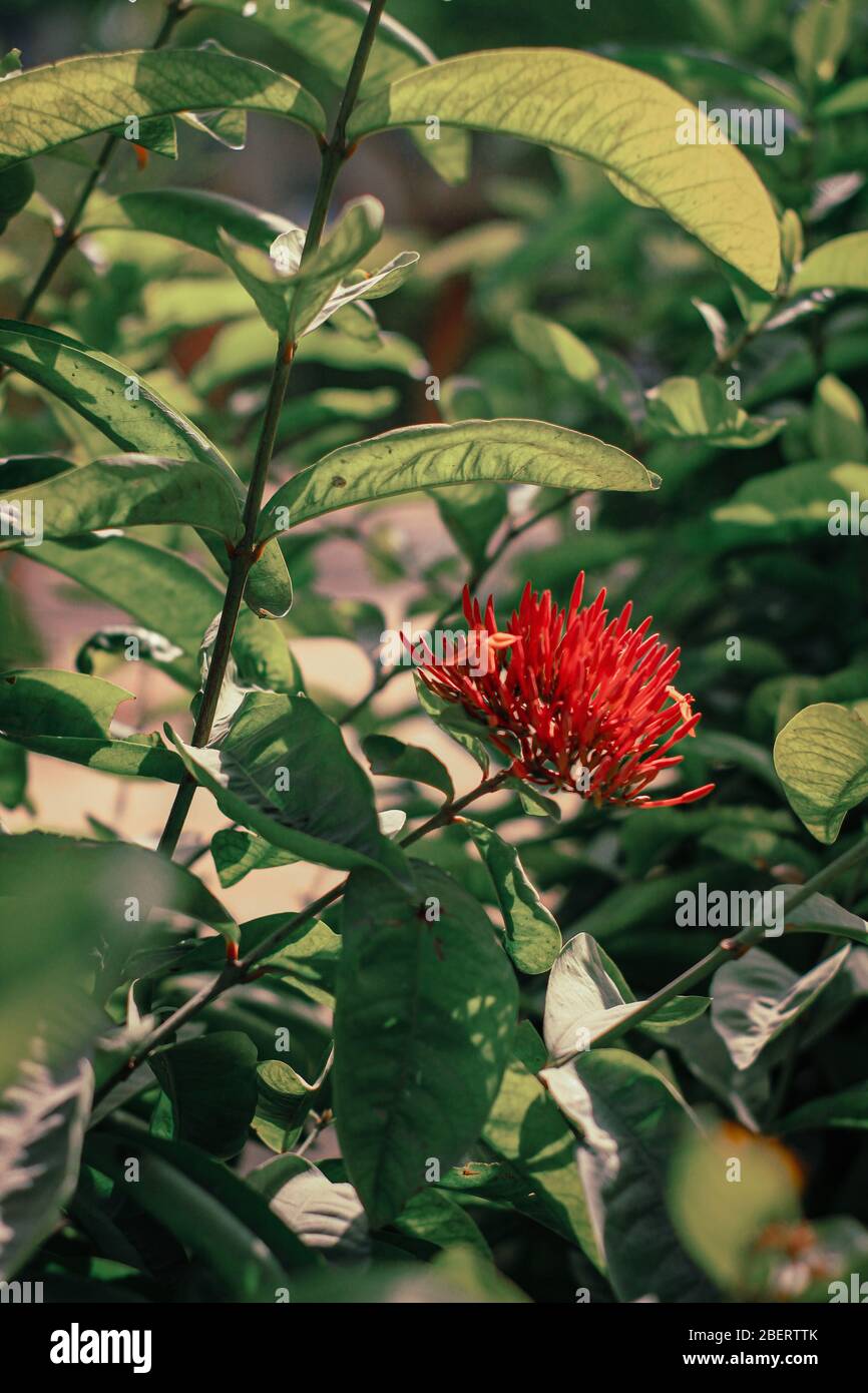 Beautiful nature hi-res stock photography and images - Alamy