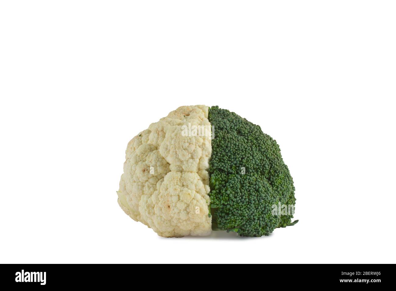 Broccoli and Cauliflower. Brain shape isolated on white background ...