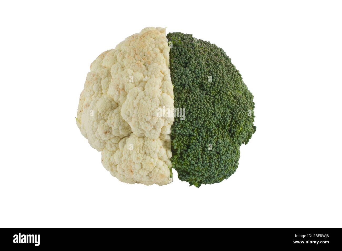 Broccoli and Cauliflower. Brain shape isolated on white background ...
