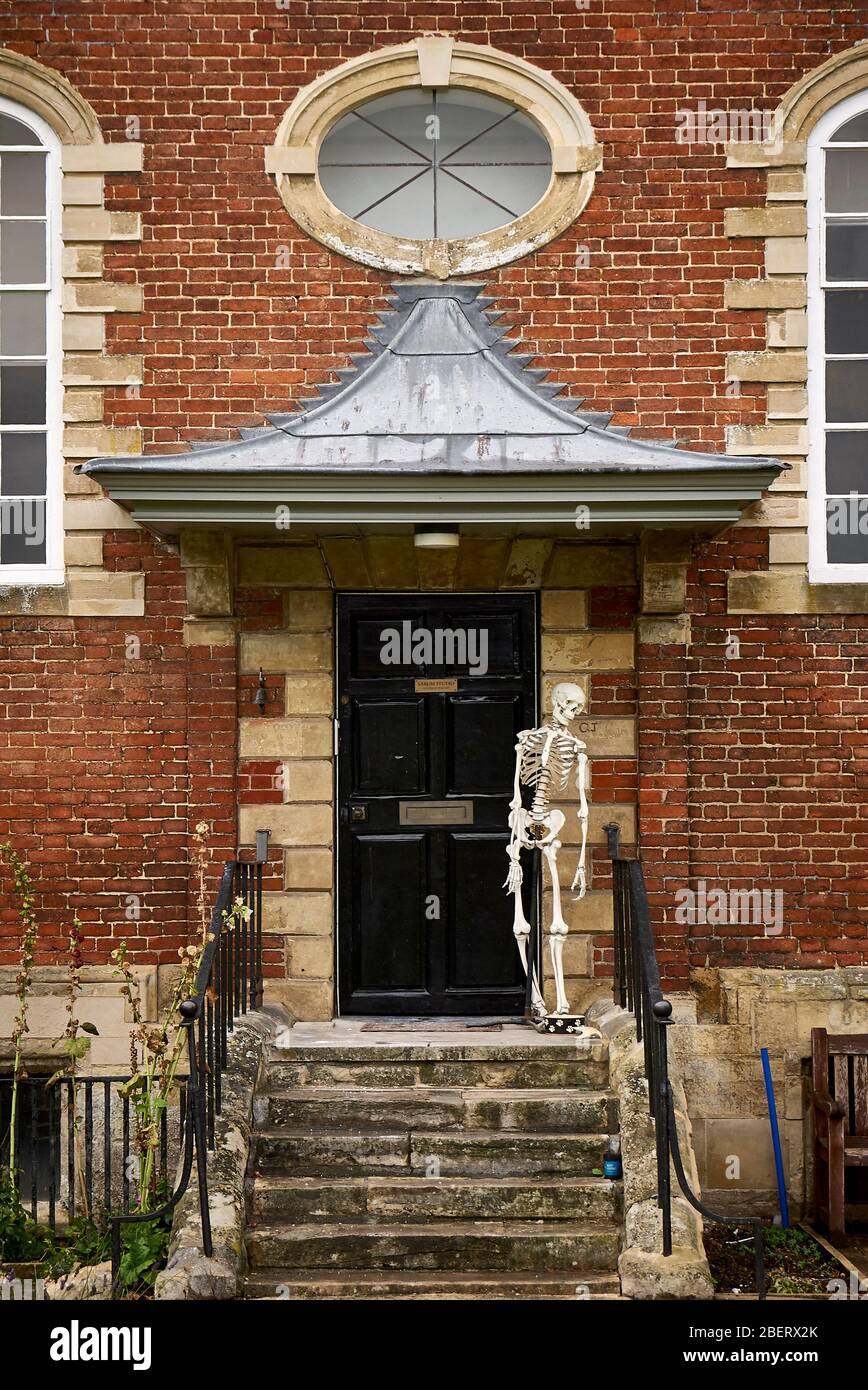 Strange guest comes to visit Stock Photo - Alamy