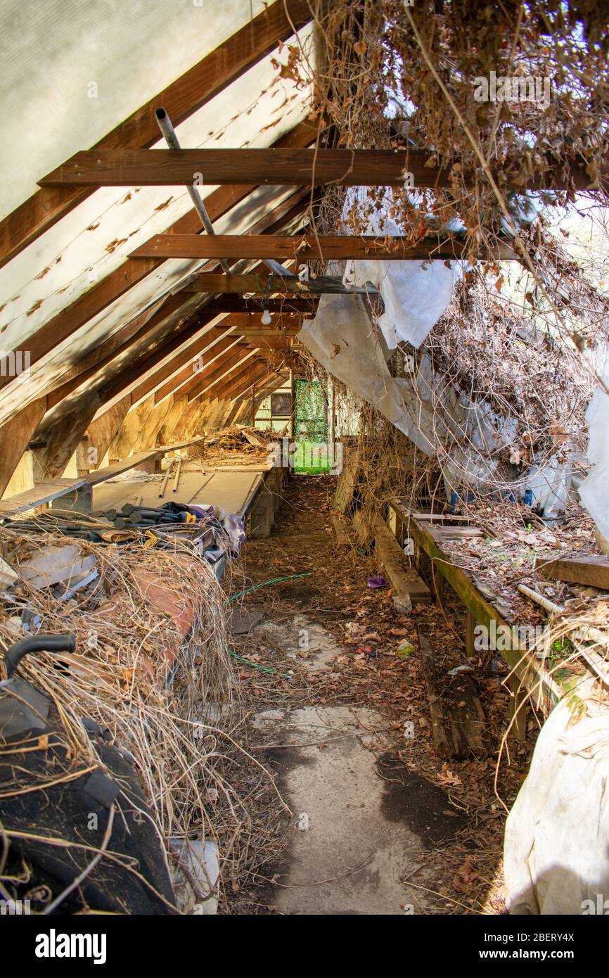 Overgrown greenhouse hi-res stock photography and images - Alamy