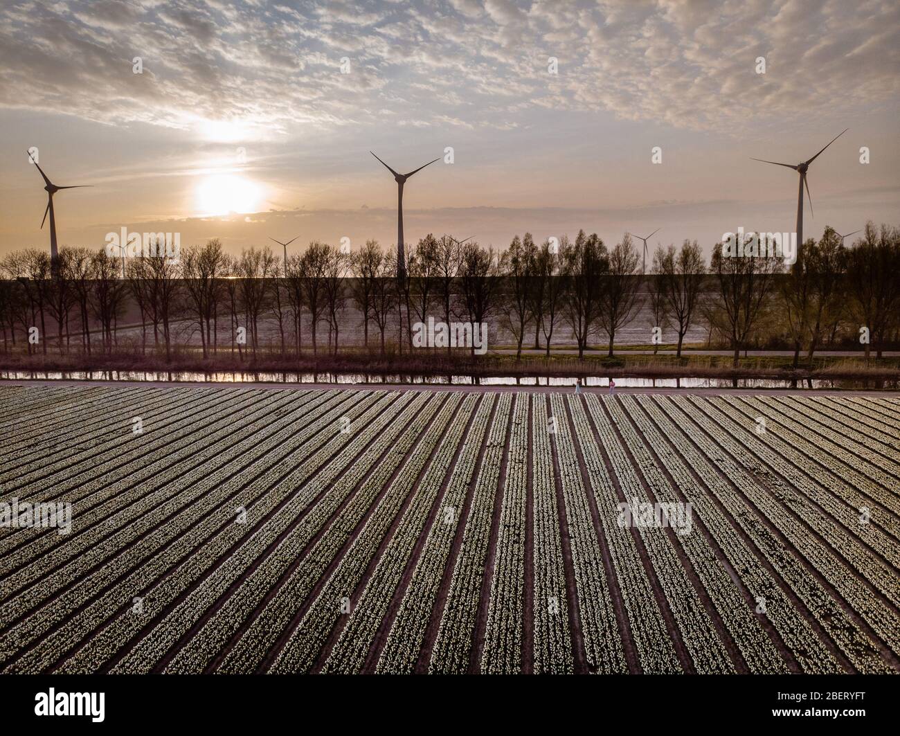 Windmill park green energy in the Netherlands, wind mill turbine ...