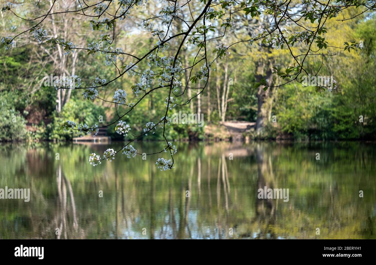 Stanmore country park hi-res stock photography and images - Alamy