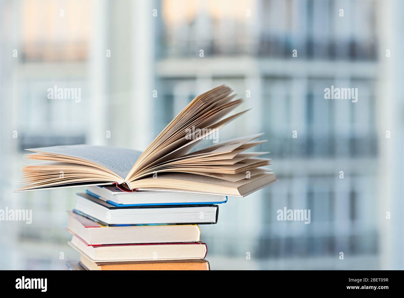 Books window hi-res stock photography and images - Alamy