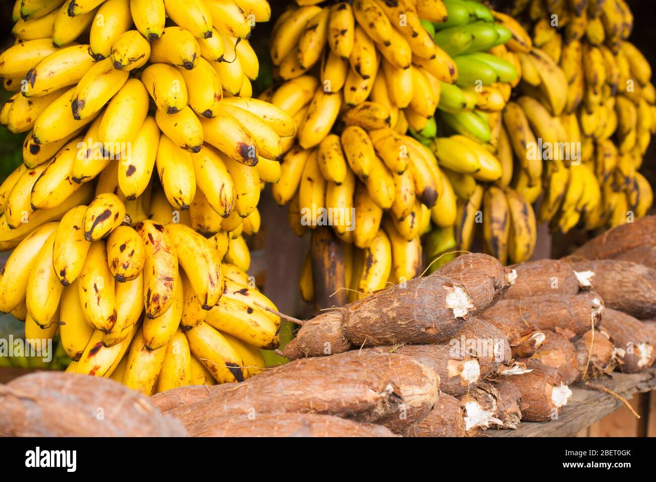 Banana ouro hi-res stock photography and images - Alamy