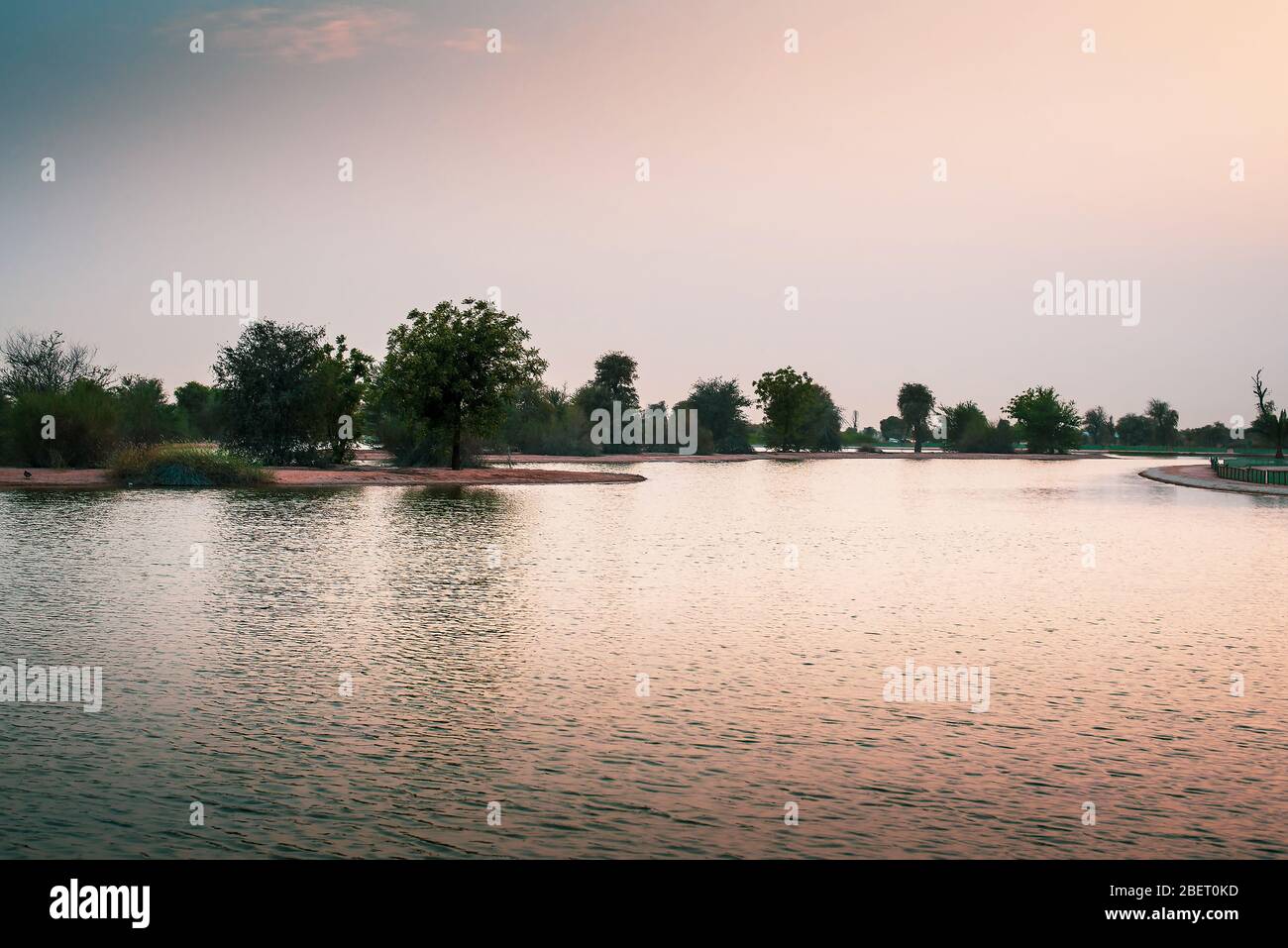 Al Qudra lakes in the Dubai desert in the UAE at sunset Stock Photo - Alamy