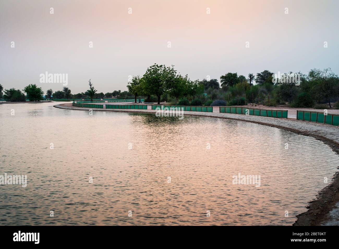 Al Qudra lakes in the Dubai desert in the UAE at sunset Stock Photo - Alamy
