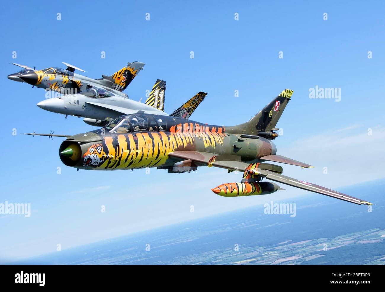 Tiger meet hi-res stock photography and images - Alamy