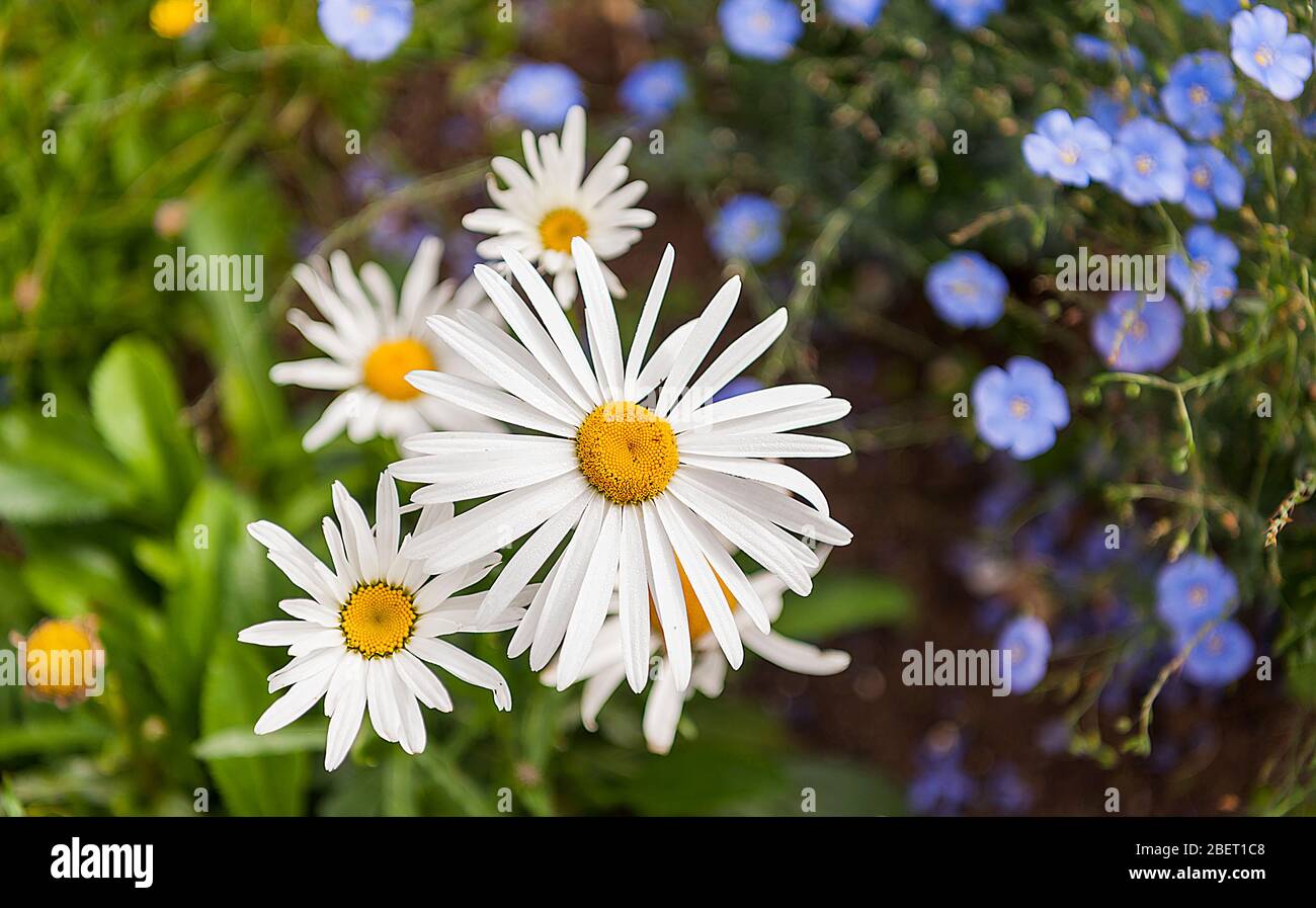 Quiet atmosphere hi-res stock photography and images - Alamy
