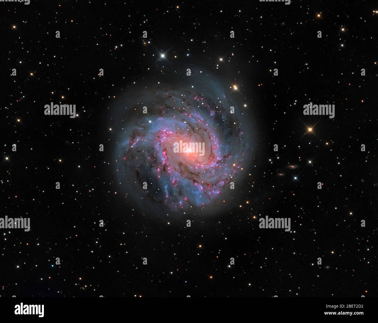 Messier 83, known as the Southern Pinwheel Galaxy Stock Photo - Alamy