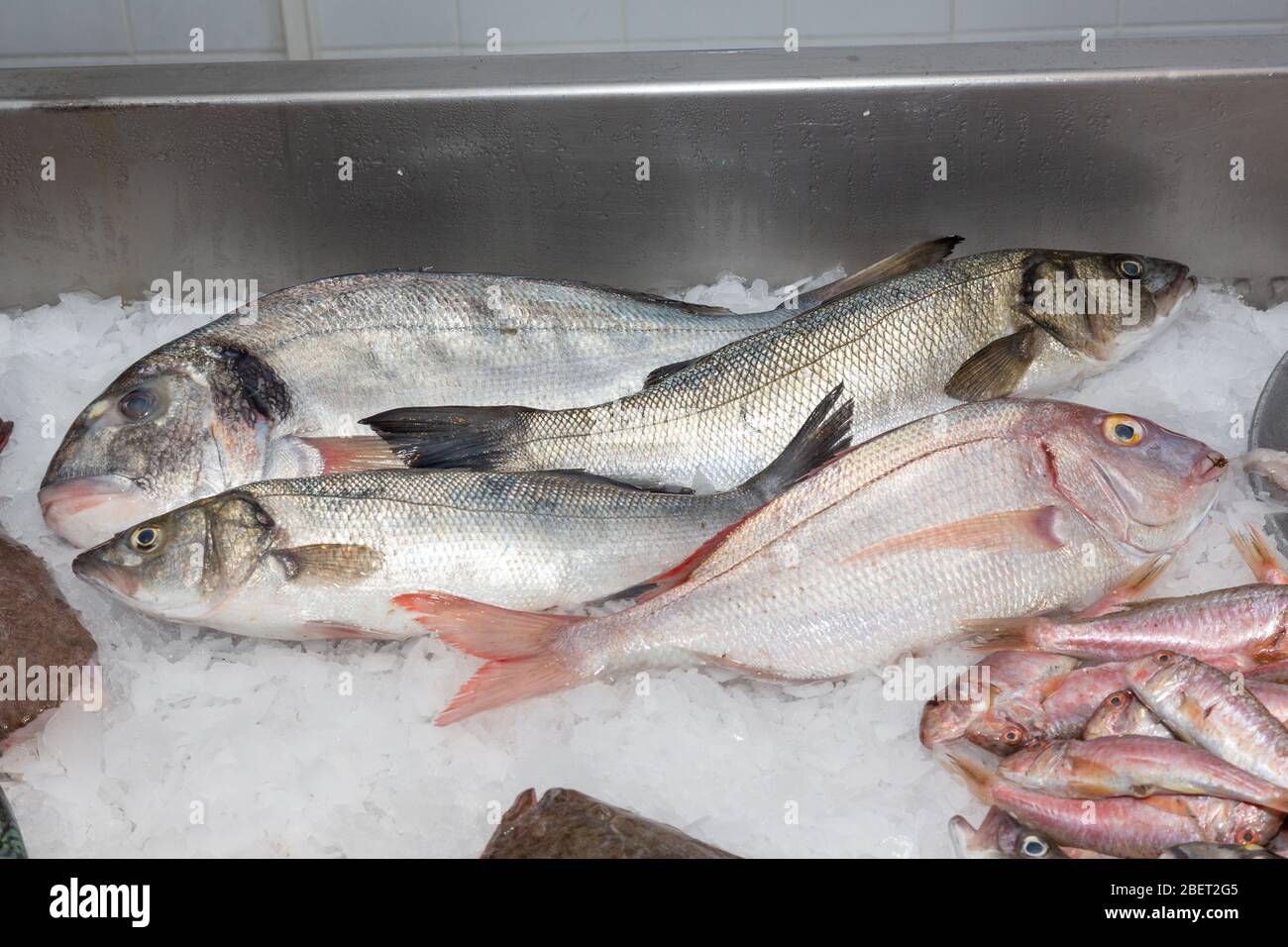 Fresh fish at a fishmonger on icy background Stock Photo - Alamy