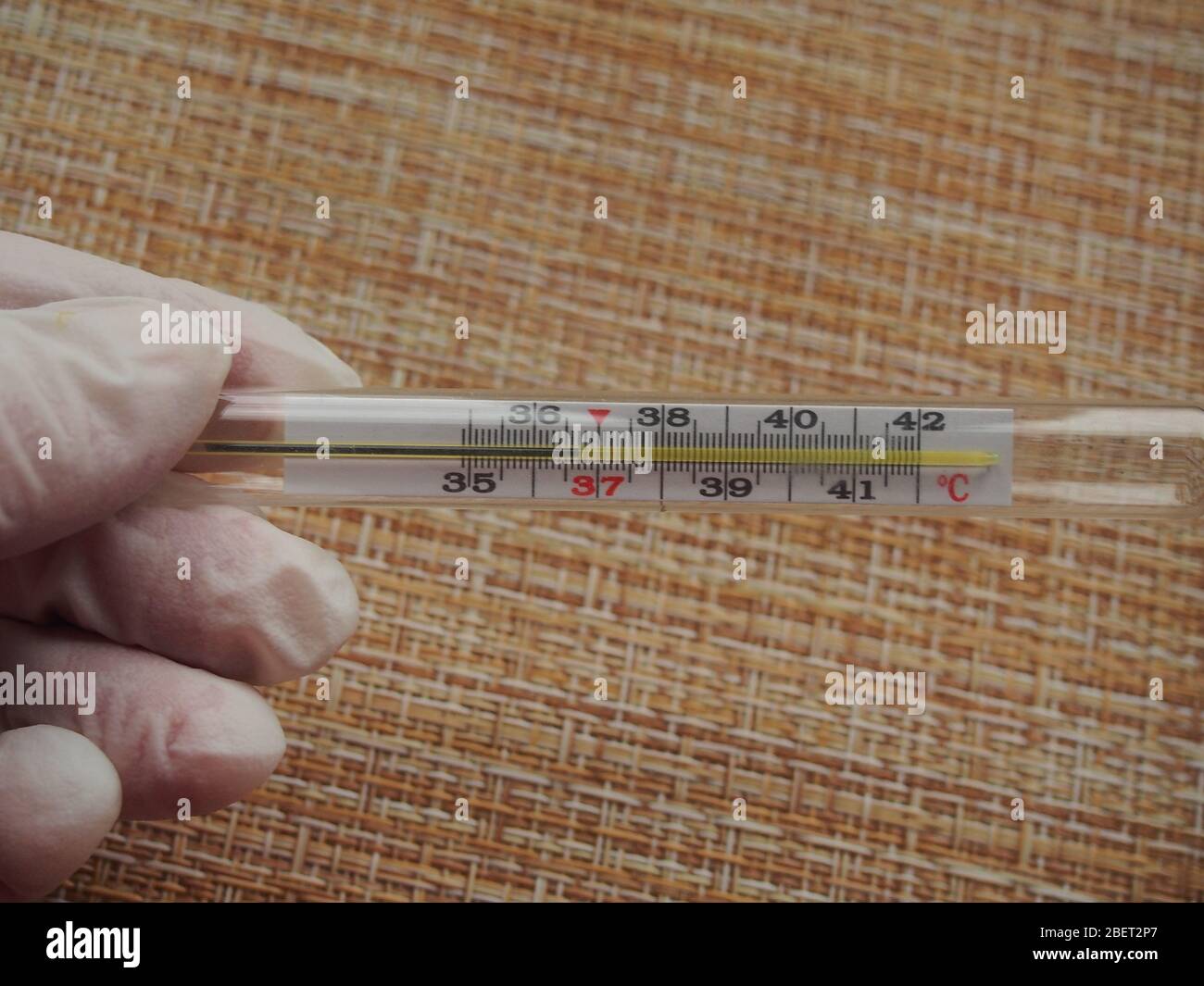 The thermometer shows the normal body temperature. Conducting health ...
