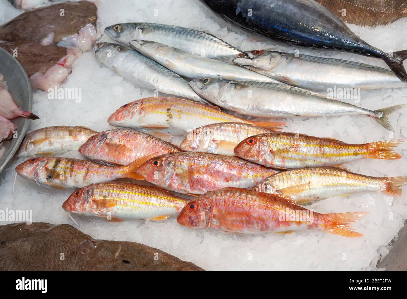 Red mullet at a fishmonger on icy background Stock Photo - Alamy