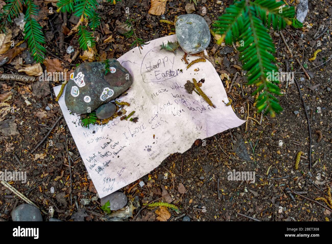 Easter letter hidden in a forest path Stock Photo - Alamy