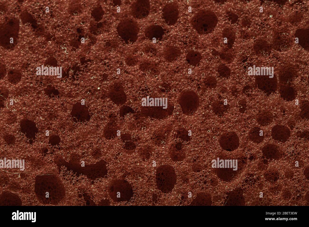 enlarged image of a red spongy tissue Stock Photo - Alamy