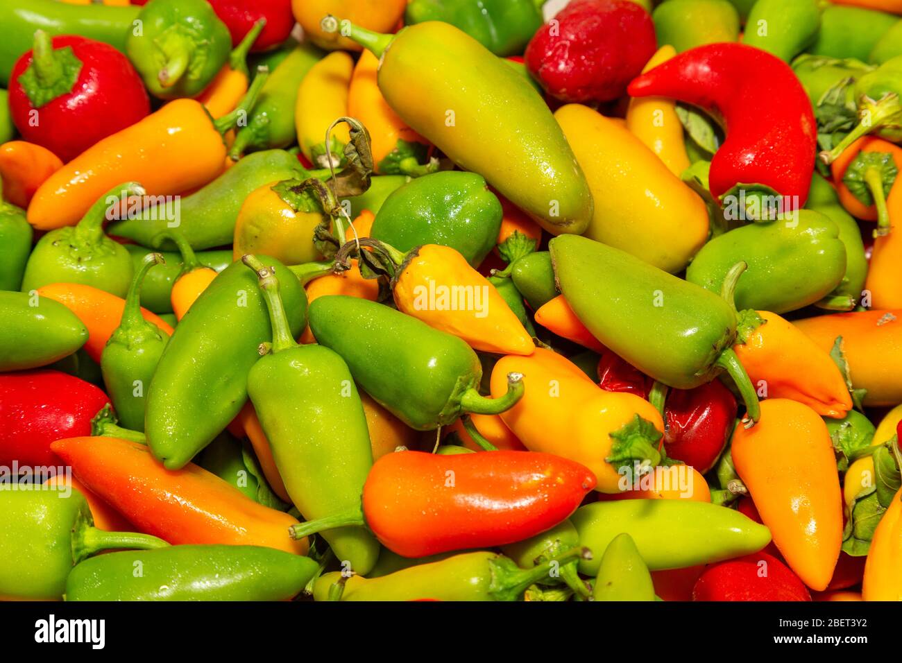 Raw chilli hi-res stock photography and images - Alamy