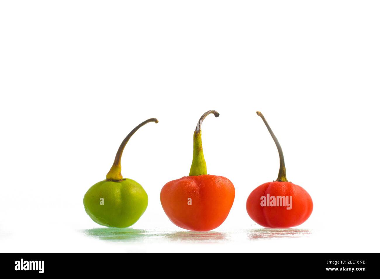 Bode Pepper. Capsicum chinese isolated on white background Stock Photo ...