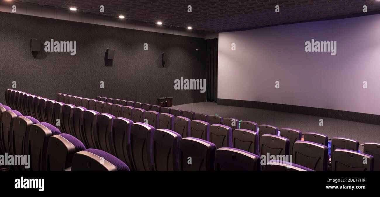 Empty comfortable red seats with numbers in cinema General plan of pink ...