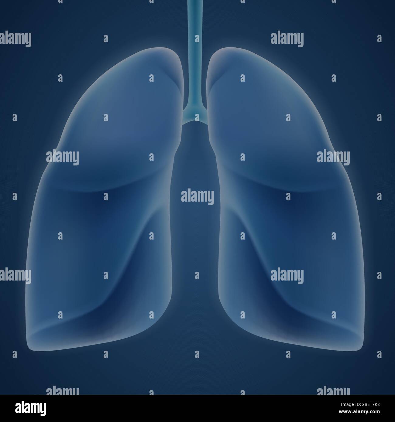 Human lungs on blue background Stock Vector Image & Art - Alamy