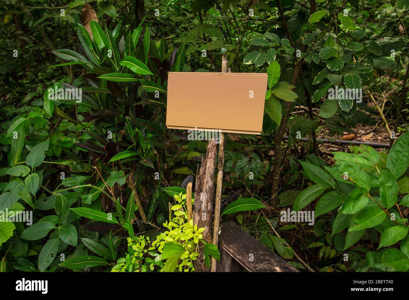 Rustic Wooden Sign into a dark forest Stock Photo - Alamy