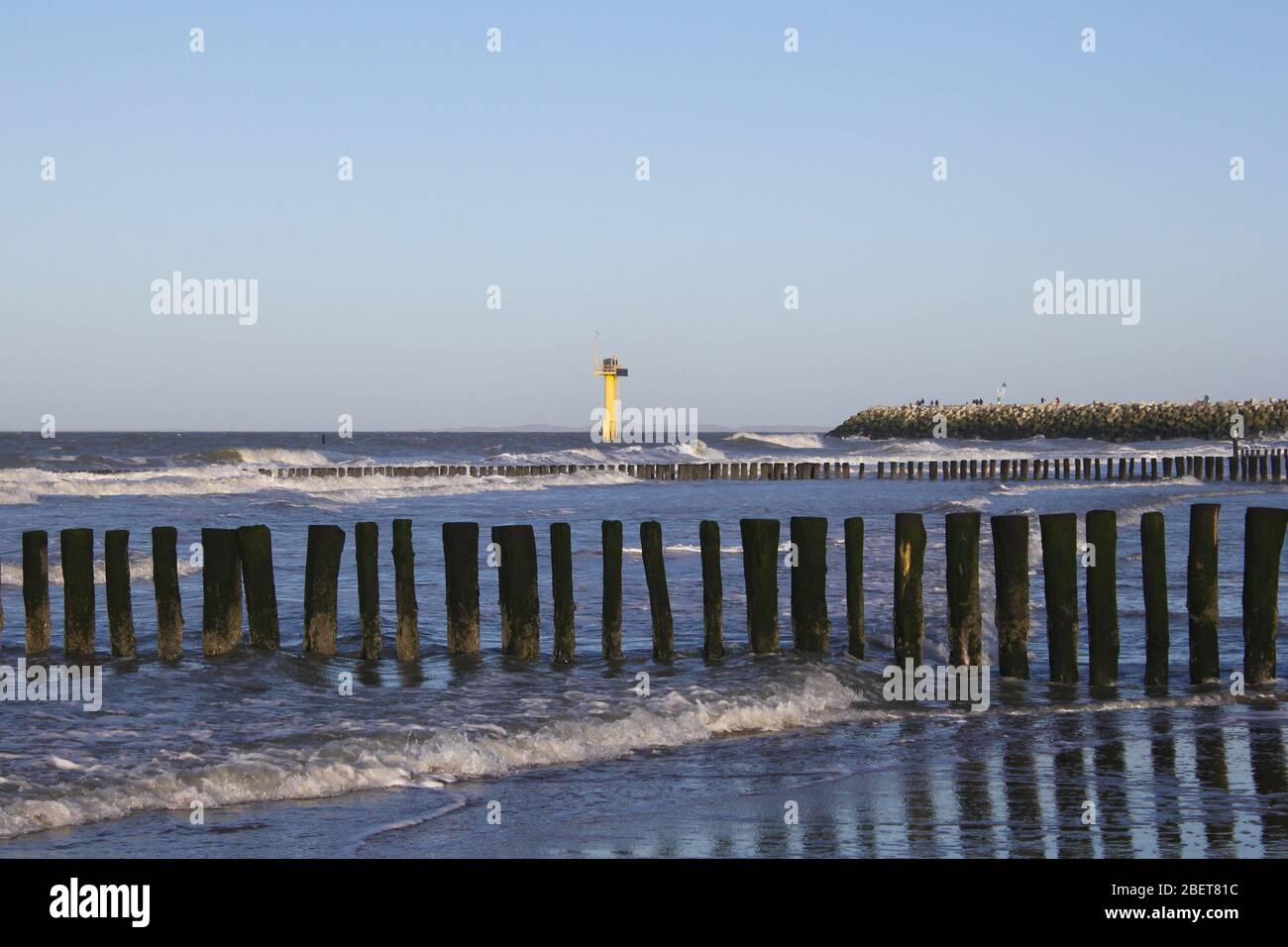 rows of breakwaters in the westerschelde sea and a lighthouse in ...
