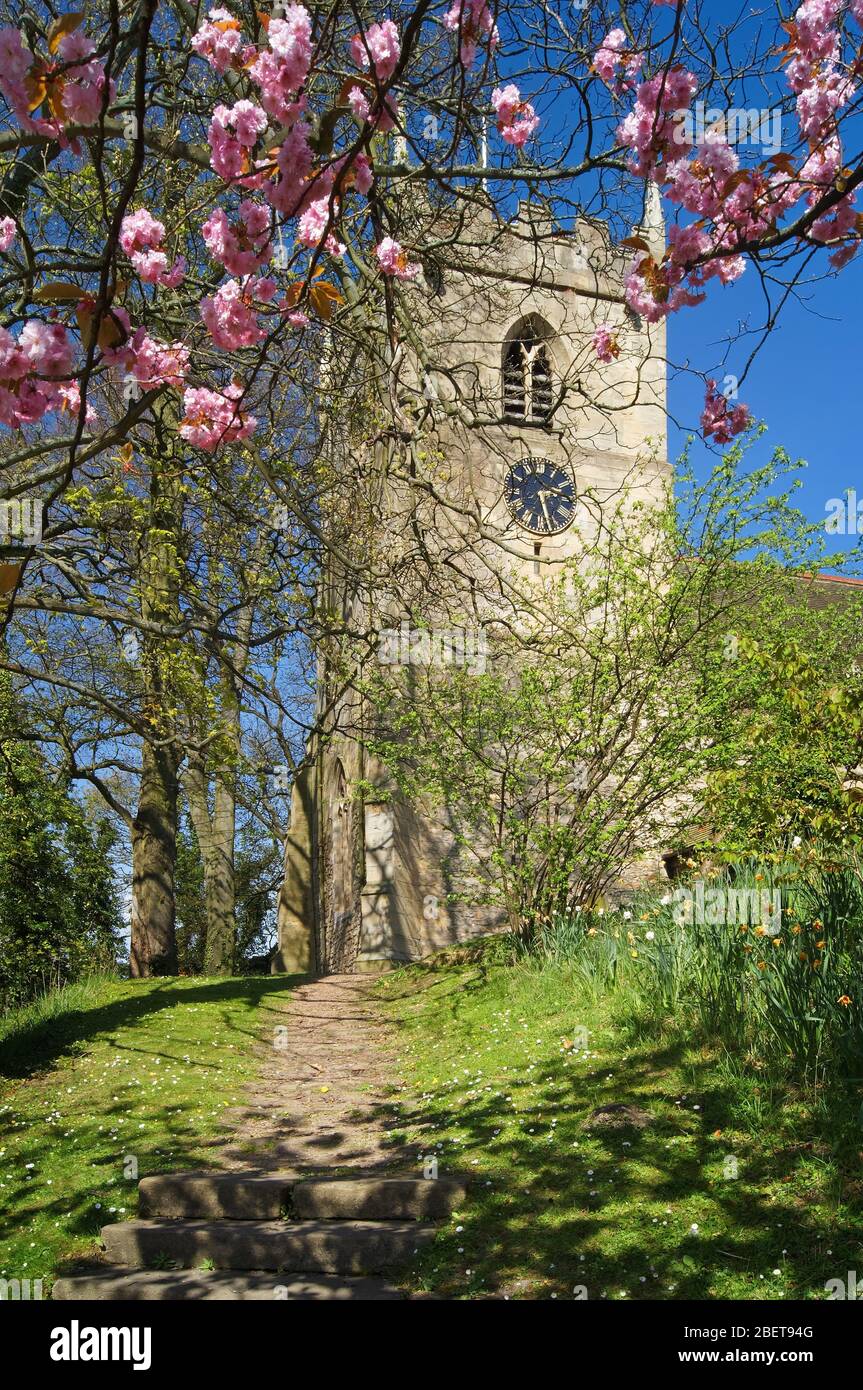 UK,South Yorkshire,Doncaster,Hooton Pagnell,All Saints Church Stock ...