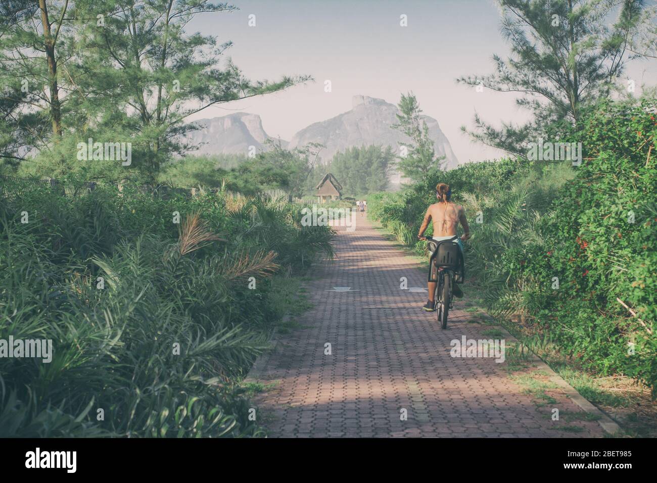 Bicycle lanes paris hi-res stock photography and images - Alamy