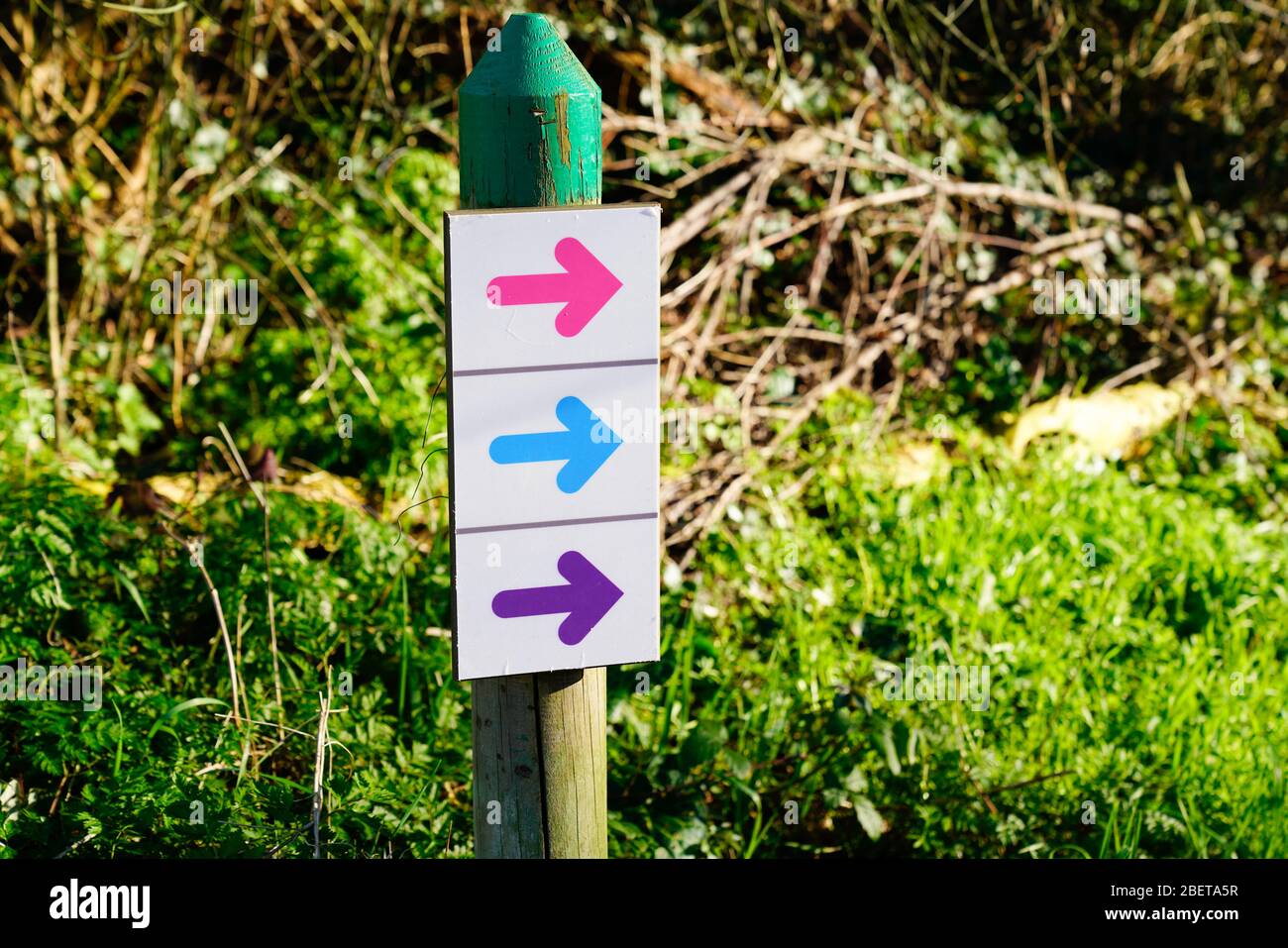 Trail marker path sign post wooden track pointer in the forest Stock ...