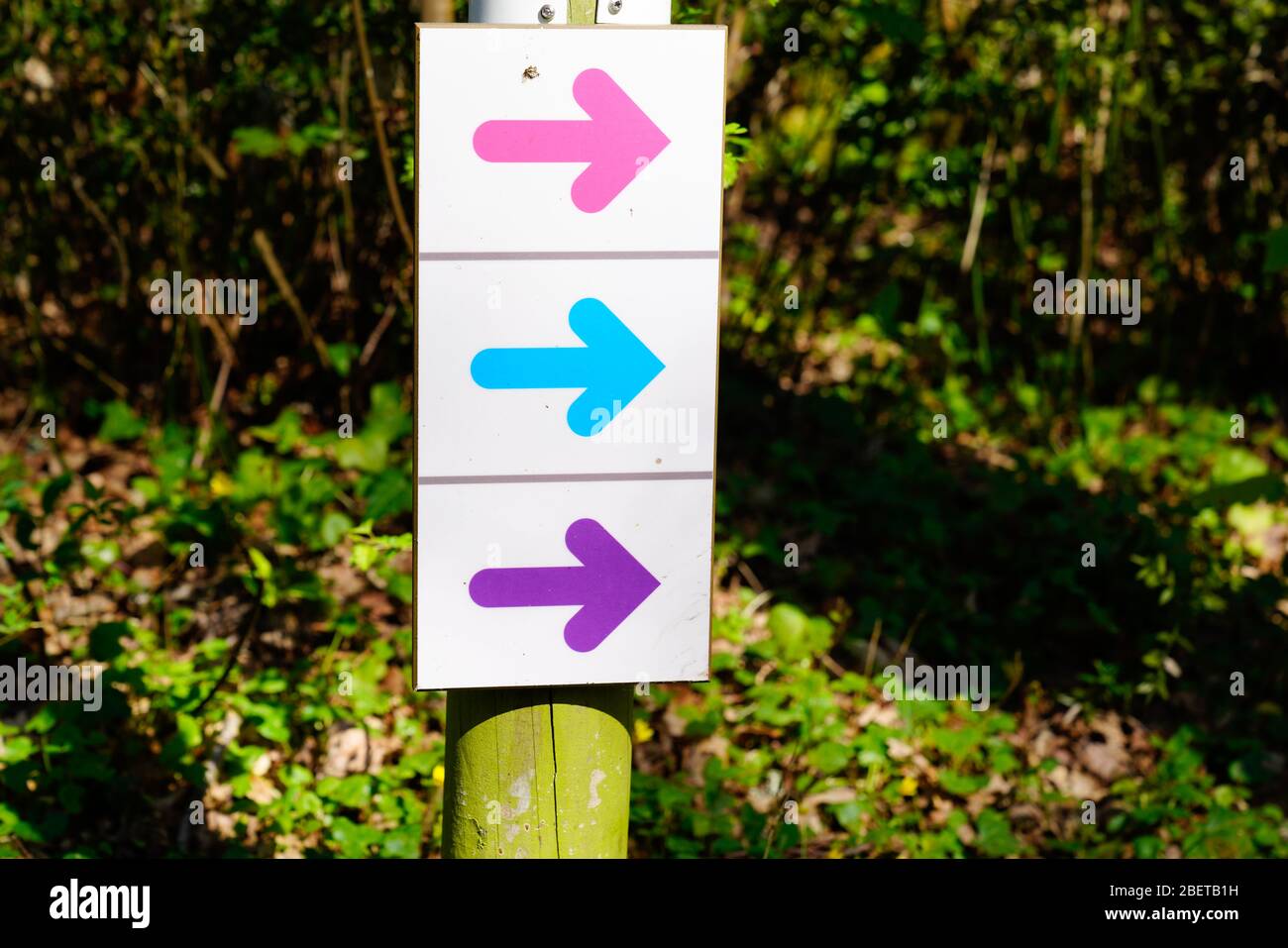 Marking markup arrow for tourist route hiking trail path sign in forest ...