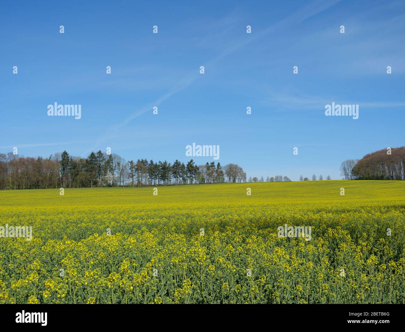 spring in germany Stock Photo - Alamy