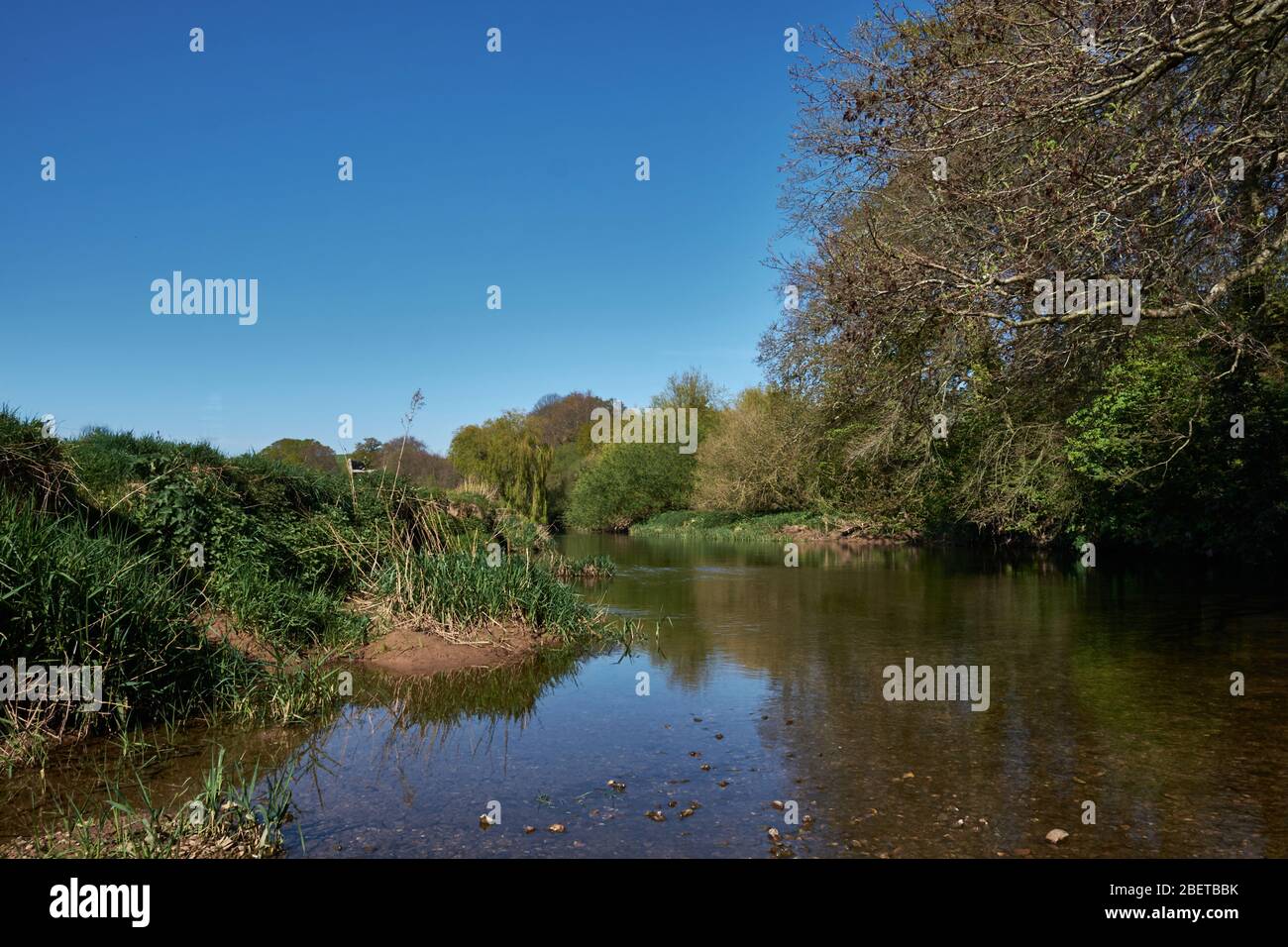 Woodland river scene trees hi-res stock photography and images - Alamy