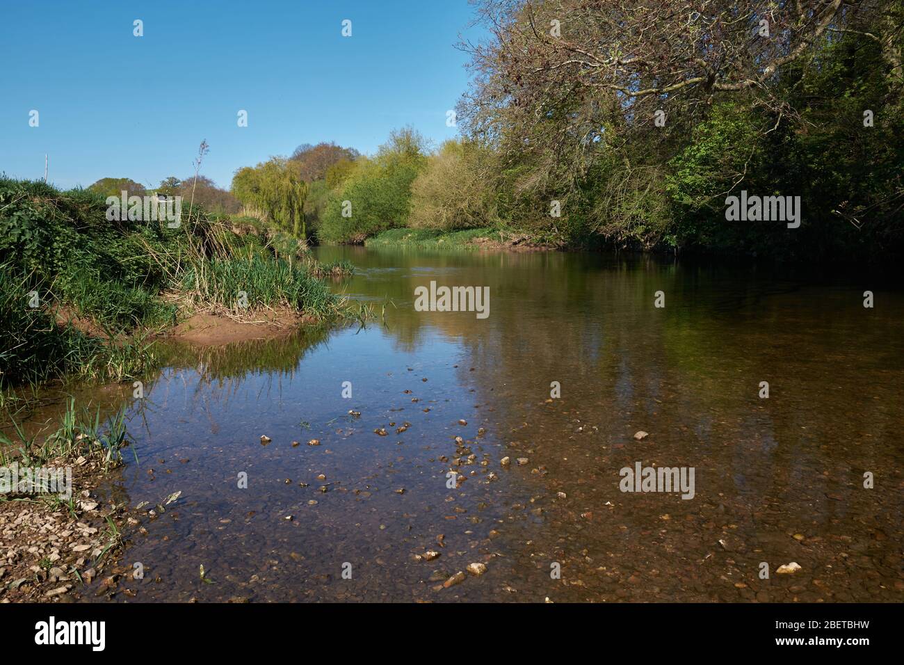 Woodland river scene trees hi-res stock photography and images - Alamy