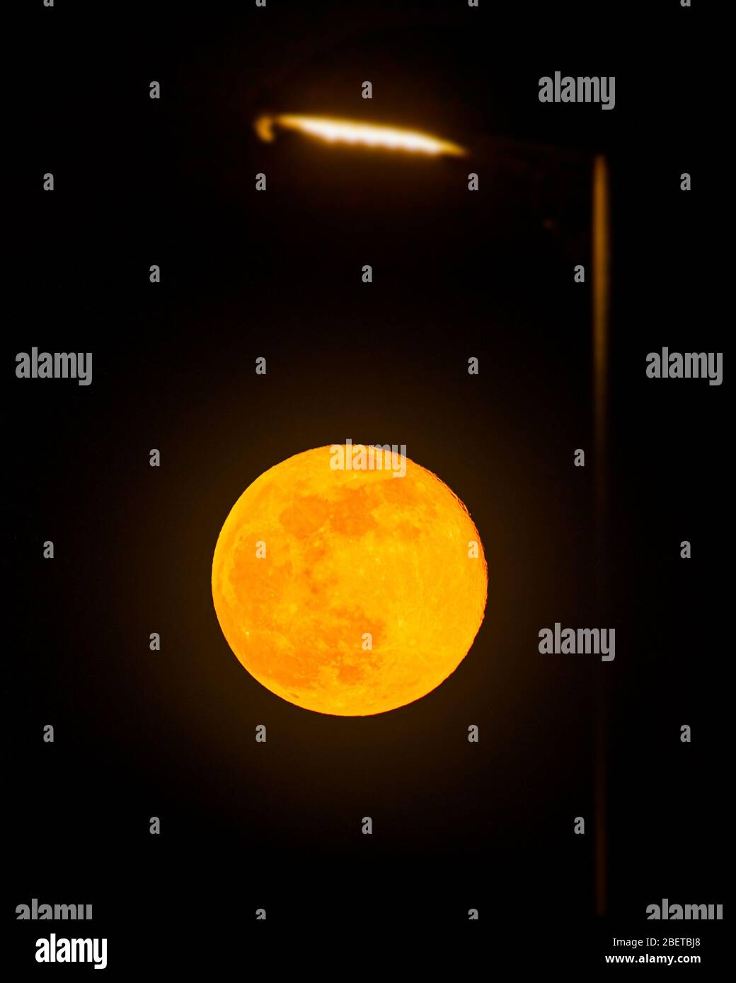 Full super buck moon hi-res stock photography and images - Alamy