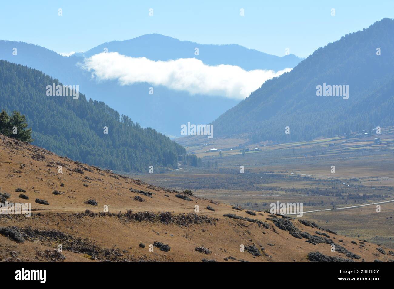 The landscape of the Phobjikha Valley, Bhutan Stock Photo - Alamy