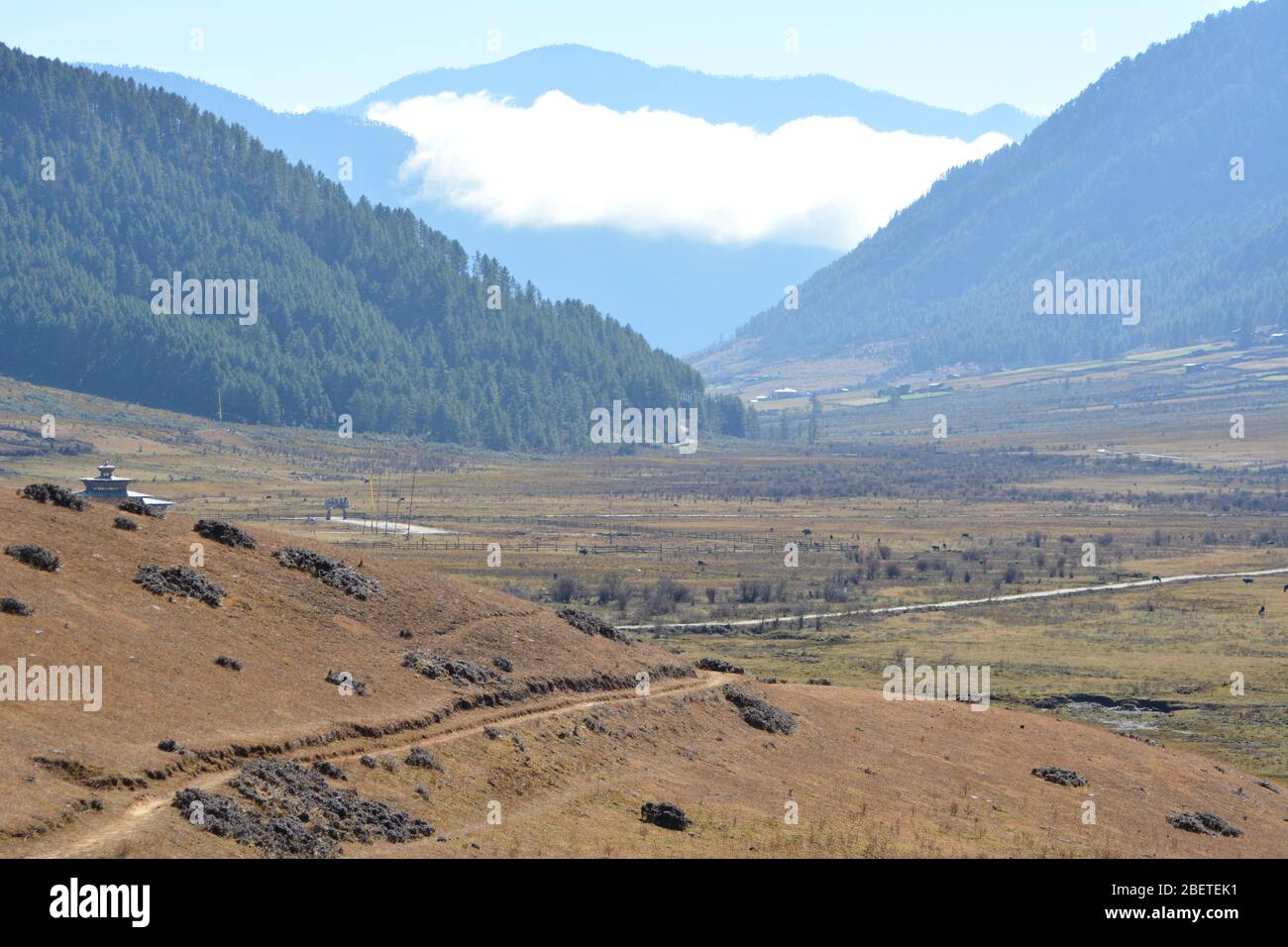 The landscape of the Phobjikha Valley, Bhutan Stock Photo - Alamy
