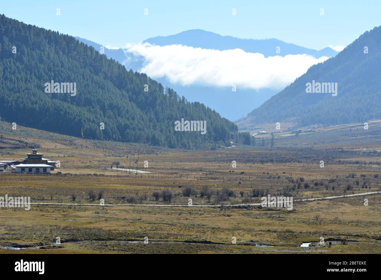 The landscape of the Phobjikha Valley, Bhutan Stock Photo - Alamy