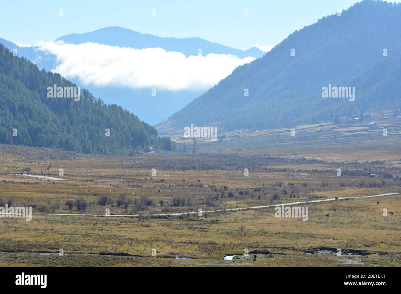 The landscape of the Phobjikha Valley, Bhutan Stock Photo - Alamy