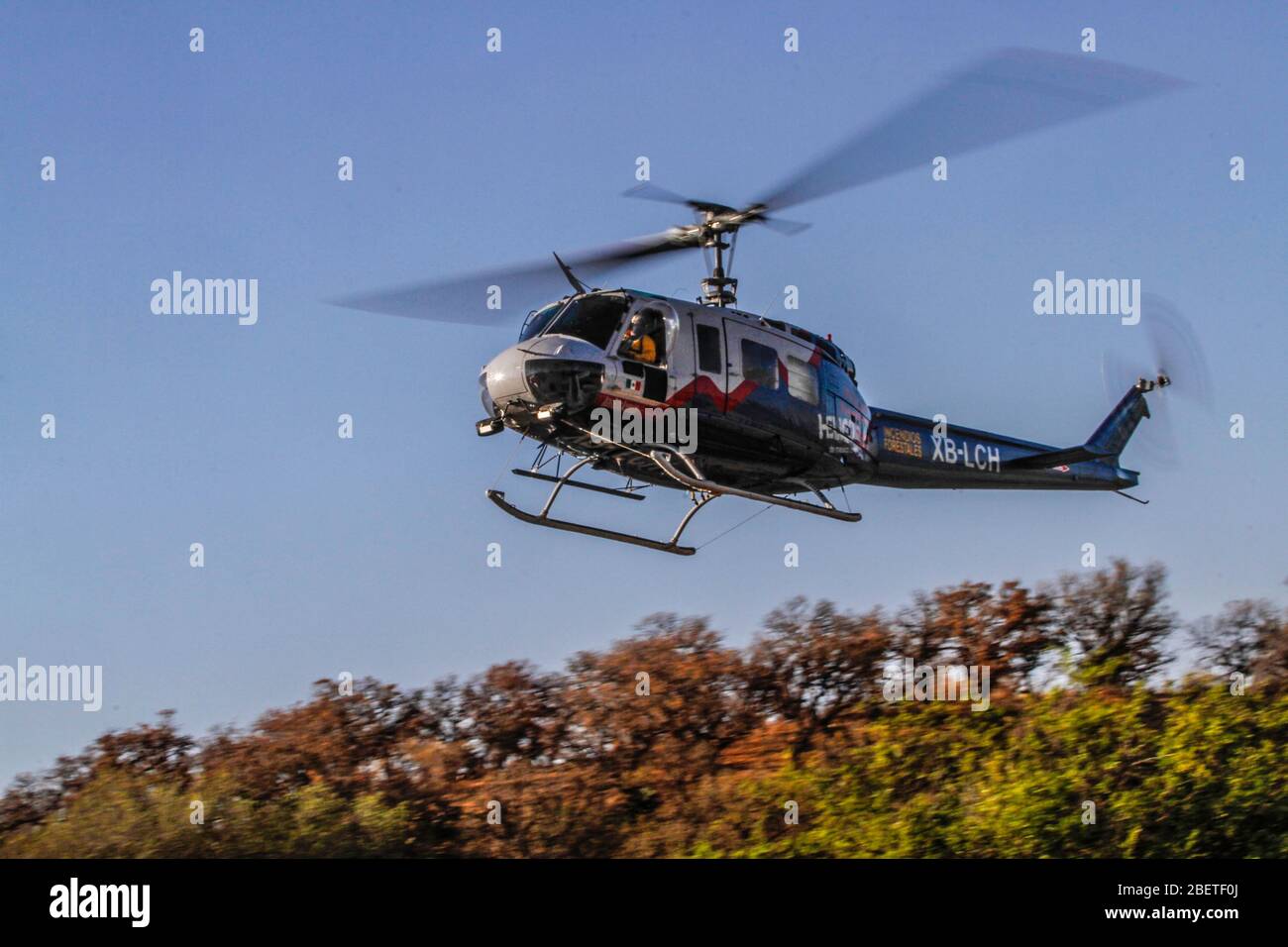 Helicopter used by the Conafor, National Forestry Commission to fight ...