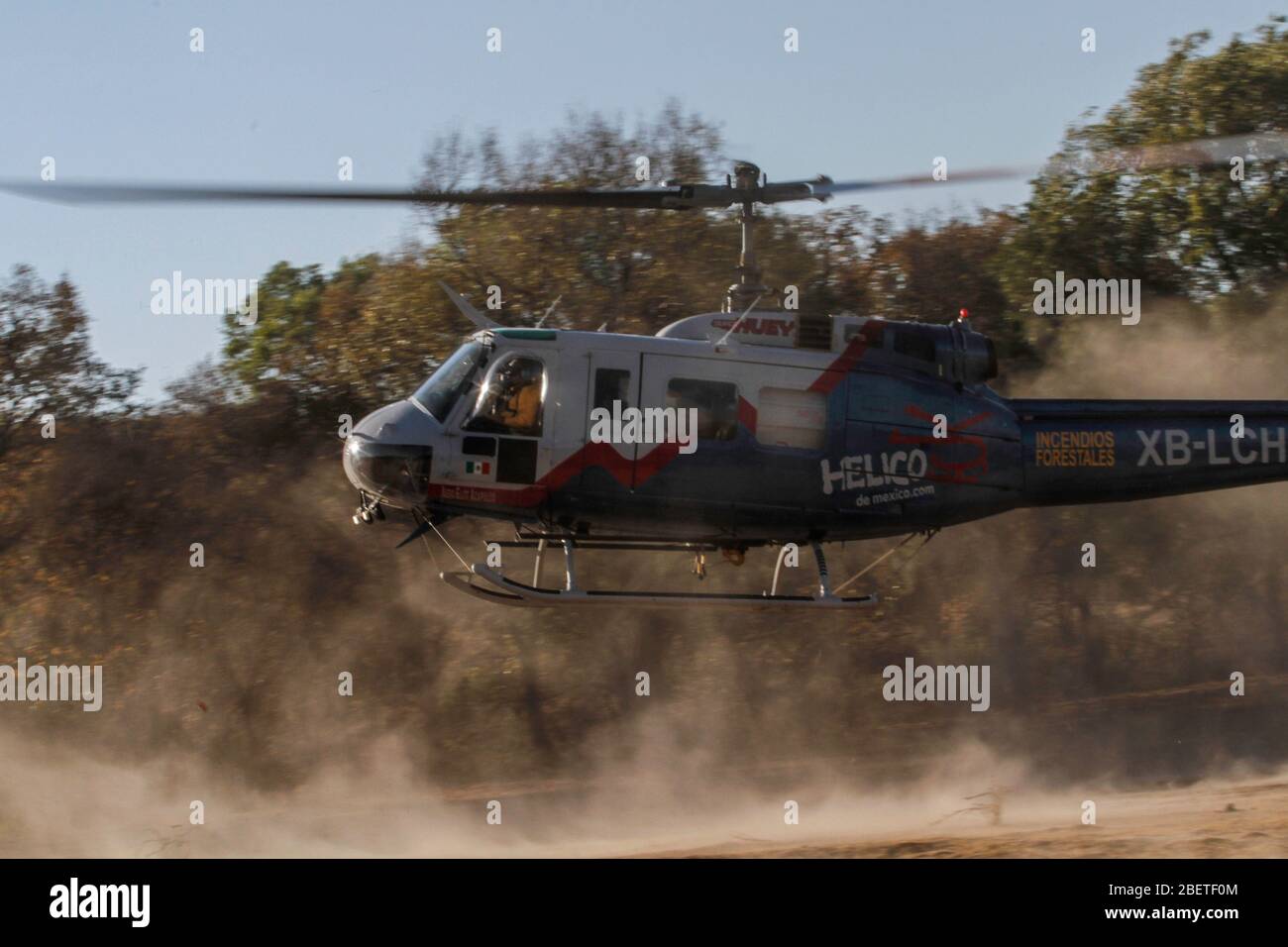 Helicopter used by the Conafor, National Forestry Commission to fight ...