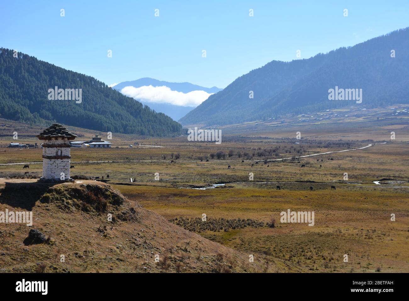 Buddhist stupa amid the landscape of the Phobjikha Valley, Bhutan Stock ...