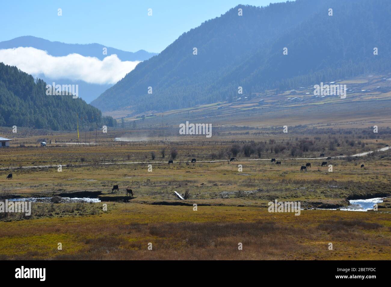 The landscape of the Phobjikha Valley, Bhutan Stock Photo - Alamy