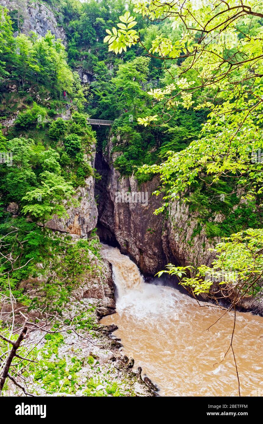 Reka River outside Skocjan Caves, Slovenia Stock Photo - Alamy