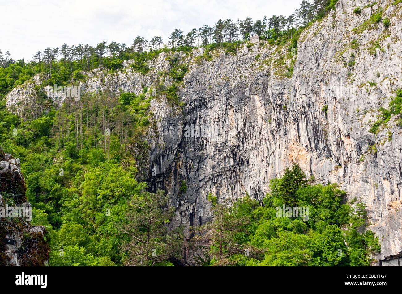 Rock wall outside Skocjan Caves, Slovenia Stock Photo - Alamy