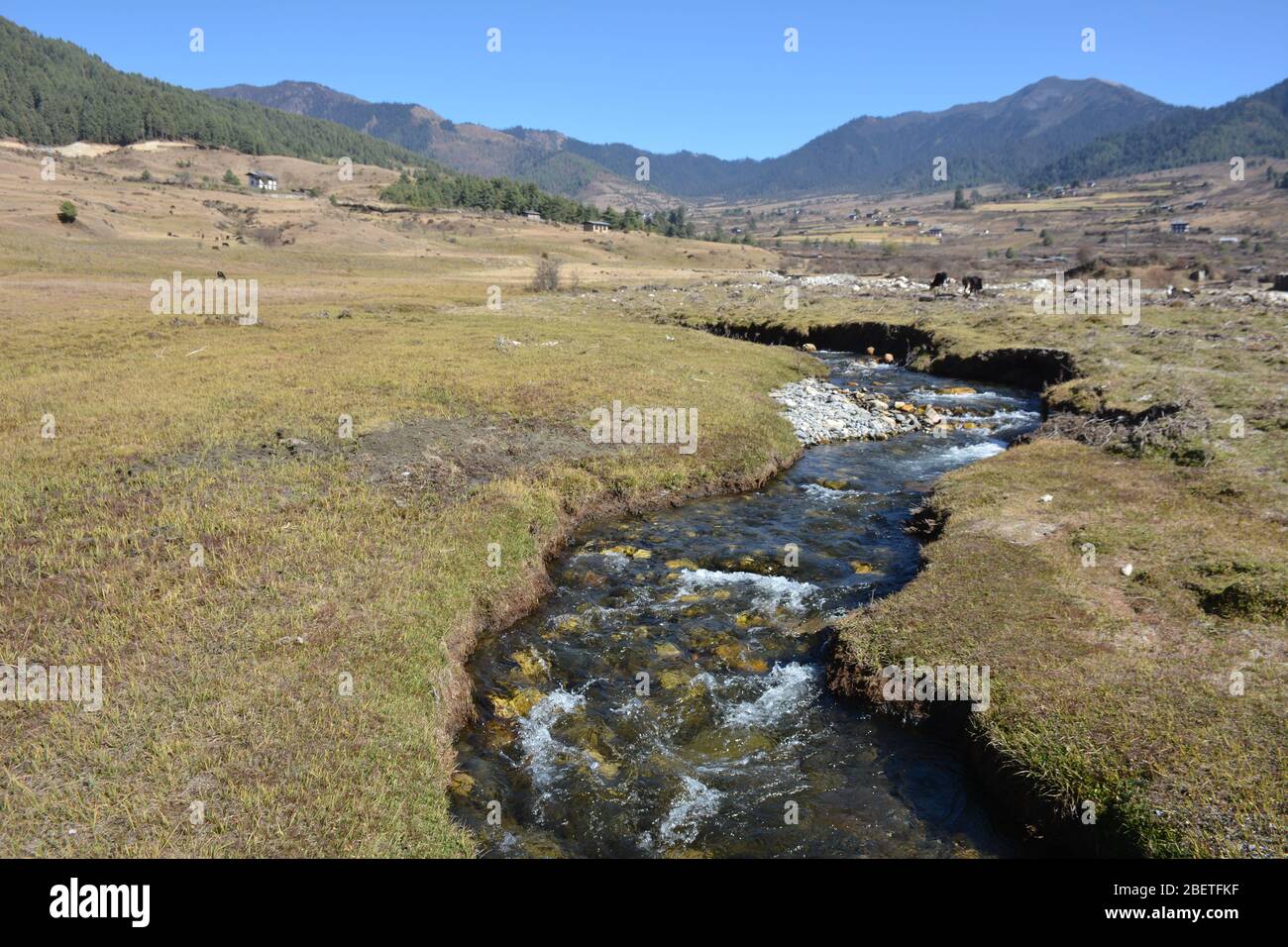 The landscape of the Phobjikha Valley, Bhutan Stock Photo - Alamy